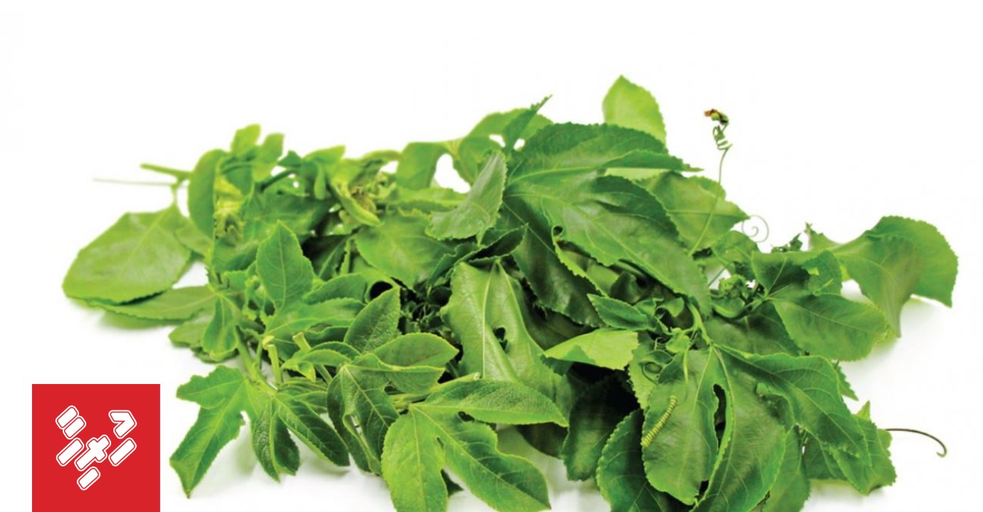 Jumhooree meyvaa ge fathun ves gina faidhaa thakeh! | Hurihaa.mv