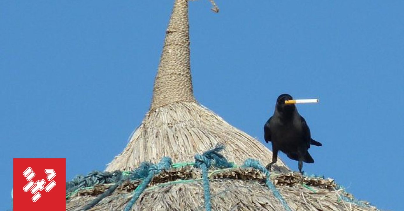 Raajjey gai cigarette boa kaalhu thakeh! | Hurihaa.mv